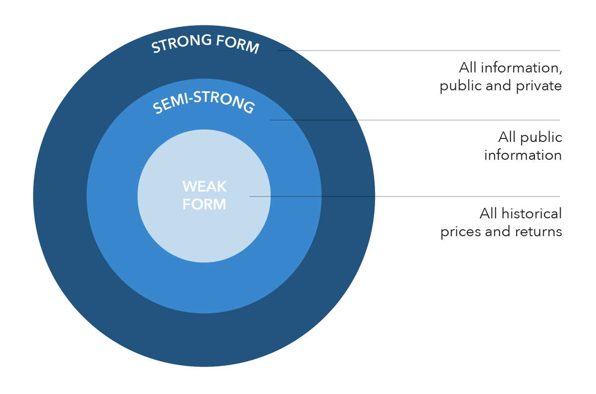 Efficient Market Hypothesis - Hivelr